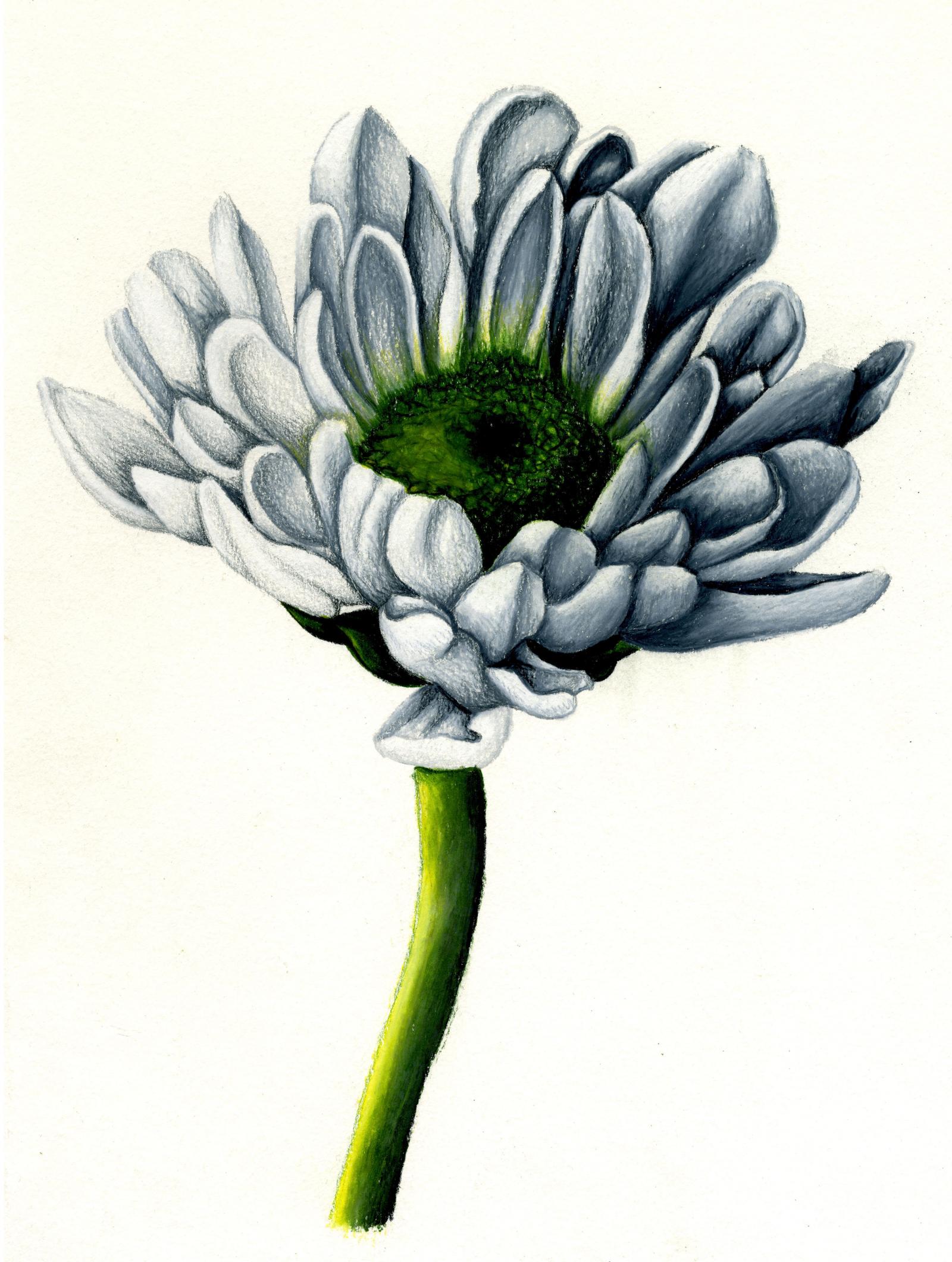 Shannon Pumputis | Maryland State Arts Council